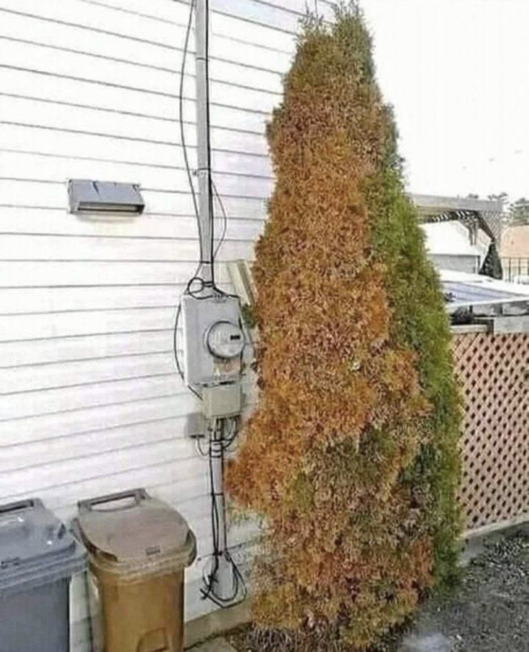 SAY NO TO “SMART” METERS – Virginians for Safe Technology